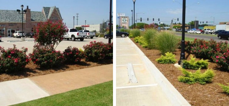Commercial Landscaping - Evergreen Landscaping