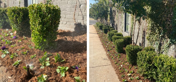 Commercial Landscaping - Evergreen Landscaping